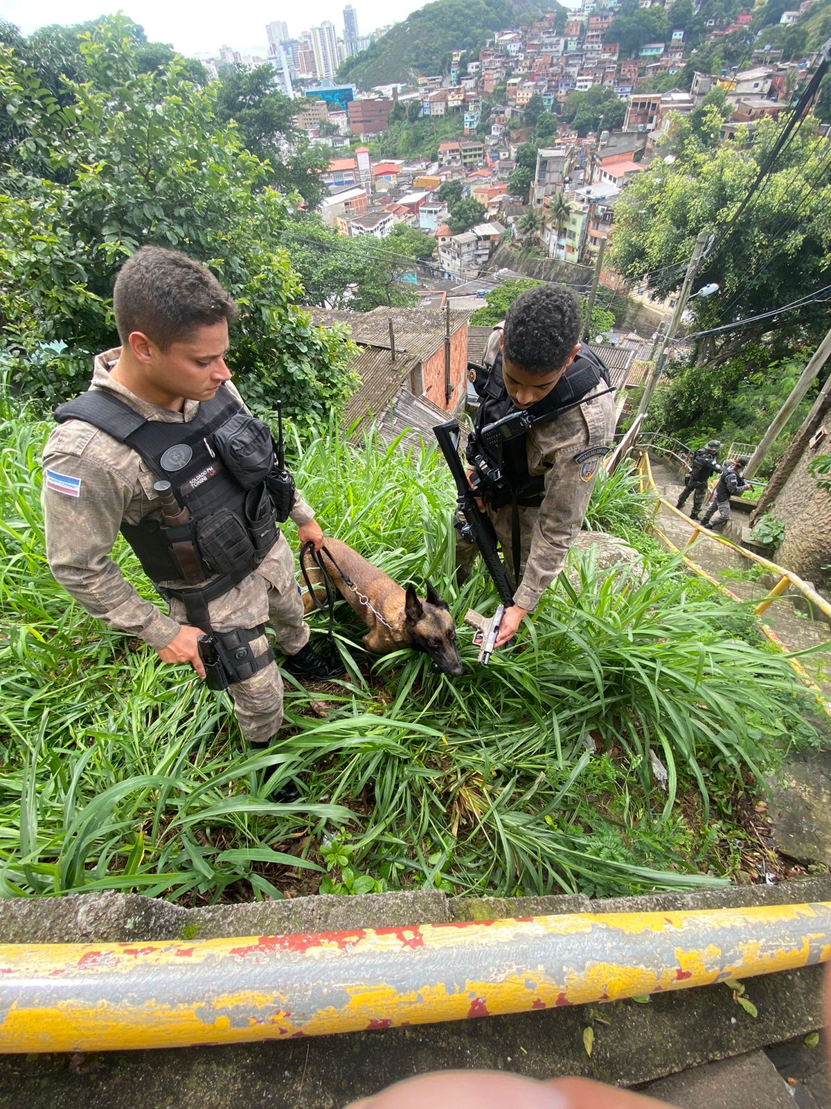 Segurança De Comandante Do Tráfico é Morto Em Confronto Com Militares